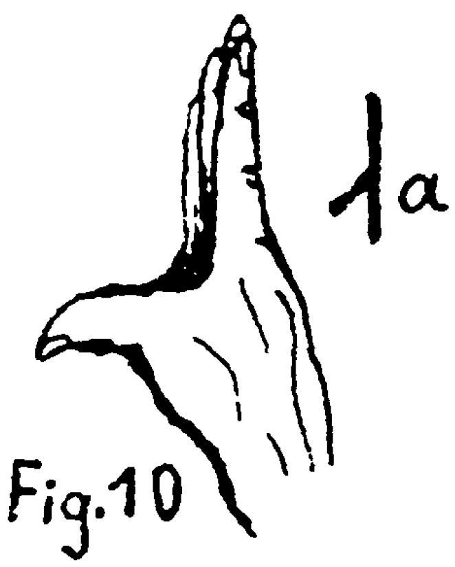 The Ar Rune – Gnostic Studies