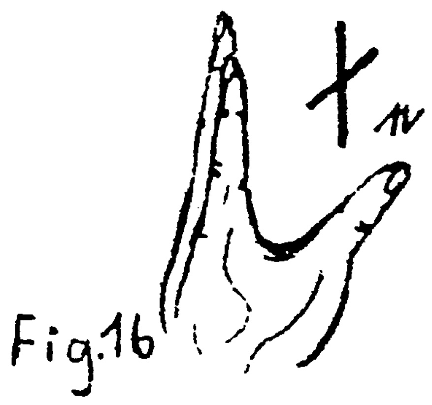 The Eh or Ehe Rune – Gnostic Studies