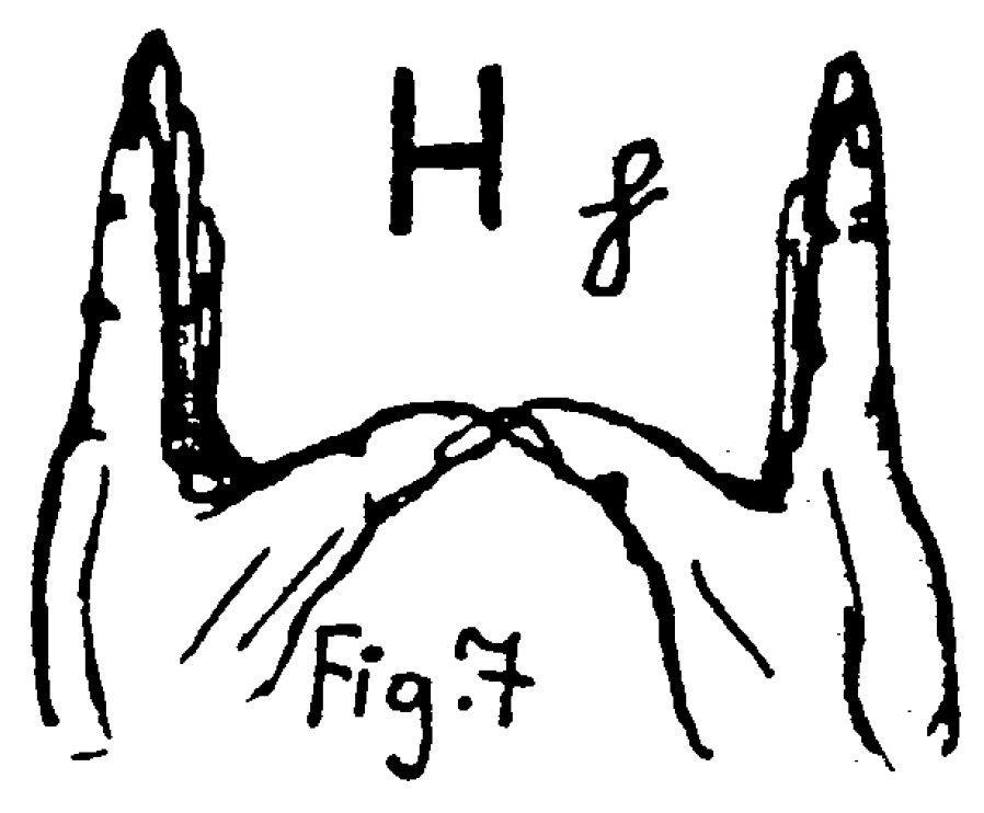 The Hagal Rune – Gnostic Studies
