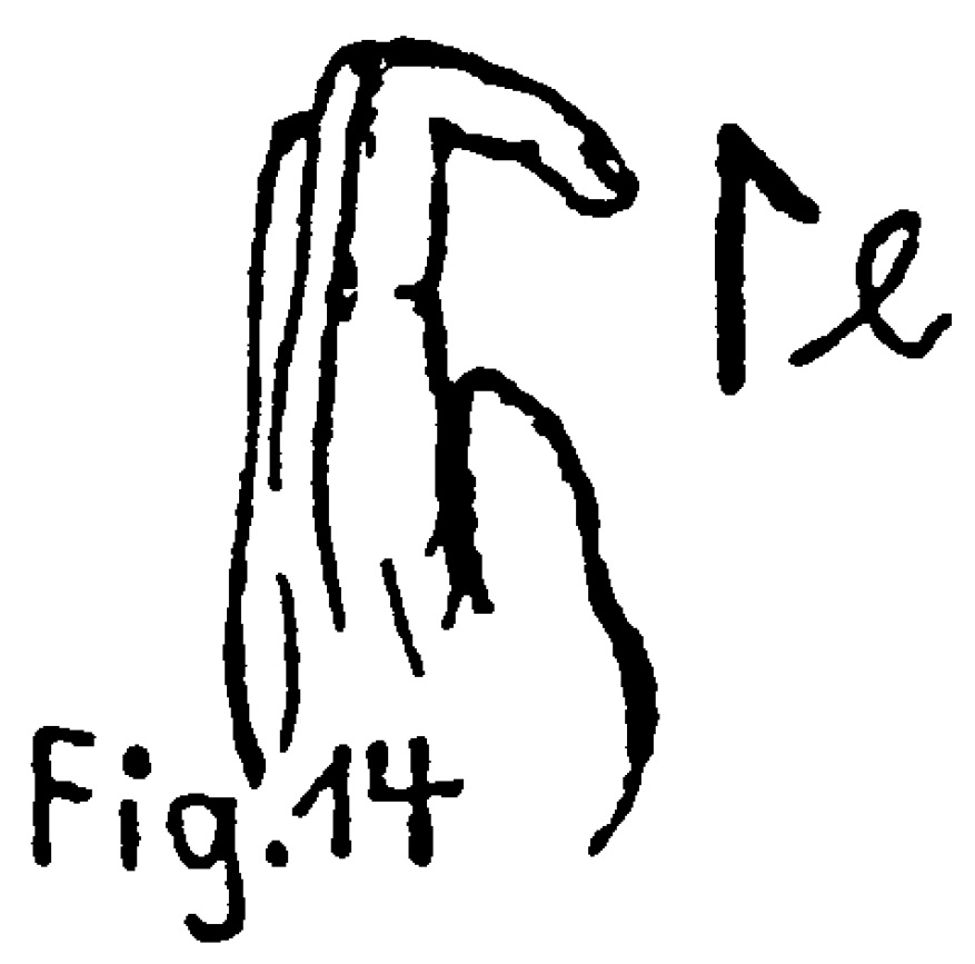 The Laf, Lagu, or Logr Rune – Gnostic Studies