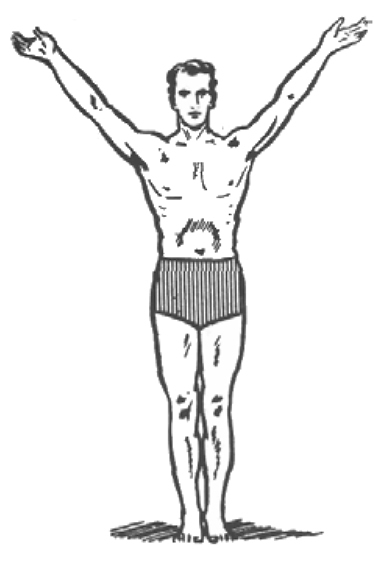 Man, Madr or Mannaz Rune (Supplemental Information) – Gnostic Studies