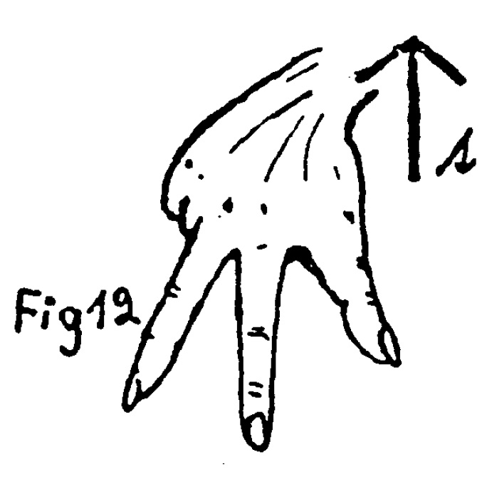 The Tyr or Tir Rune – Gnostic Studies