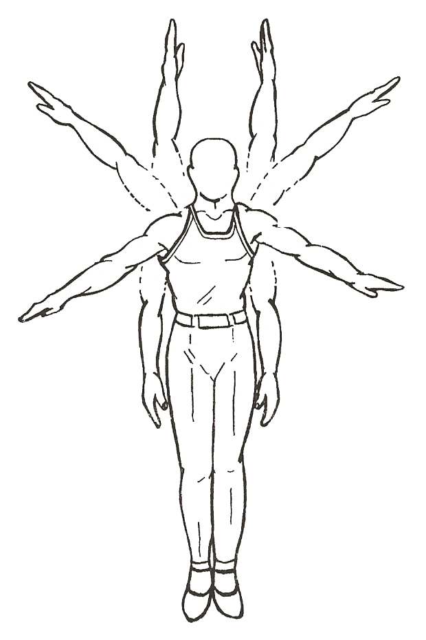 The Tyr or Tir Rune – Gnostic Studies