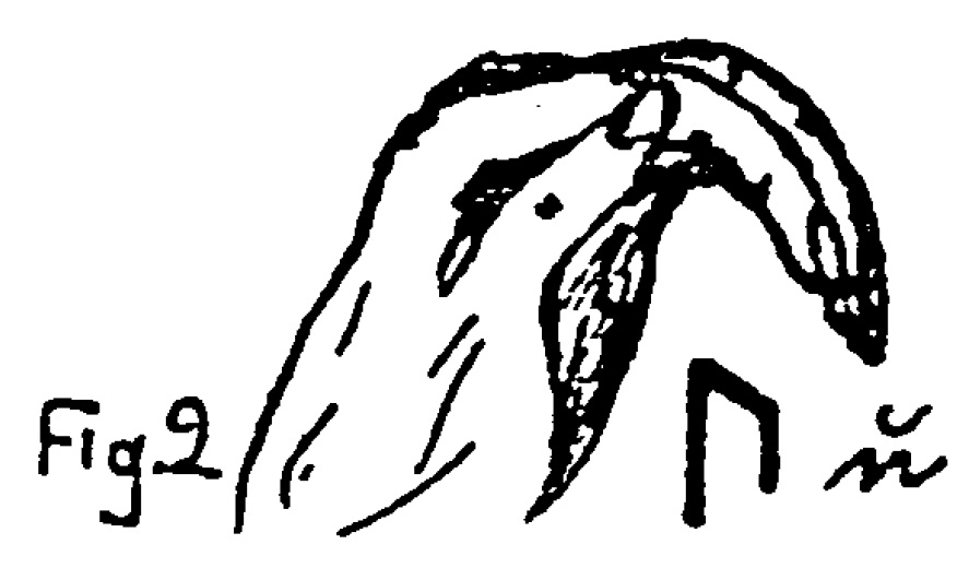 The Ur Rune – Gnostic Studies